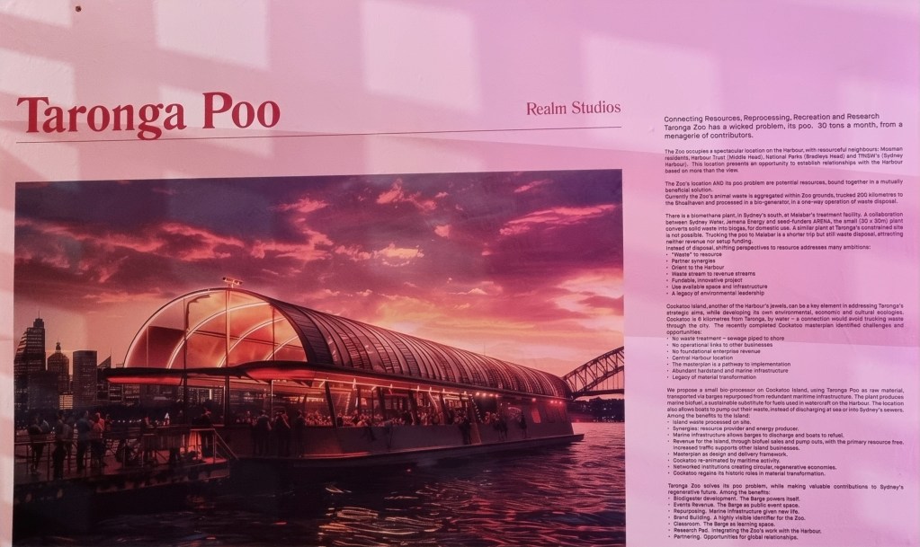 Transcendent Thinking - Community Flower Studio